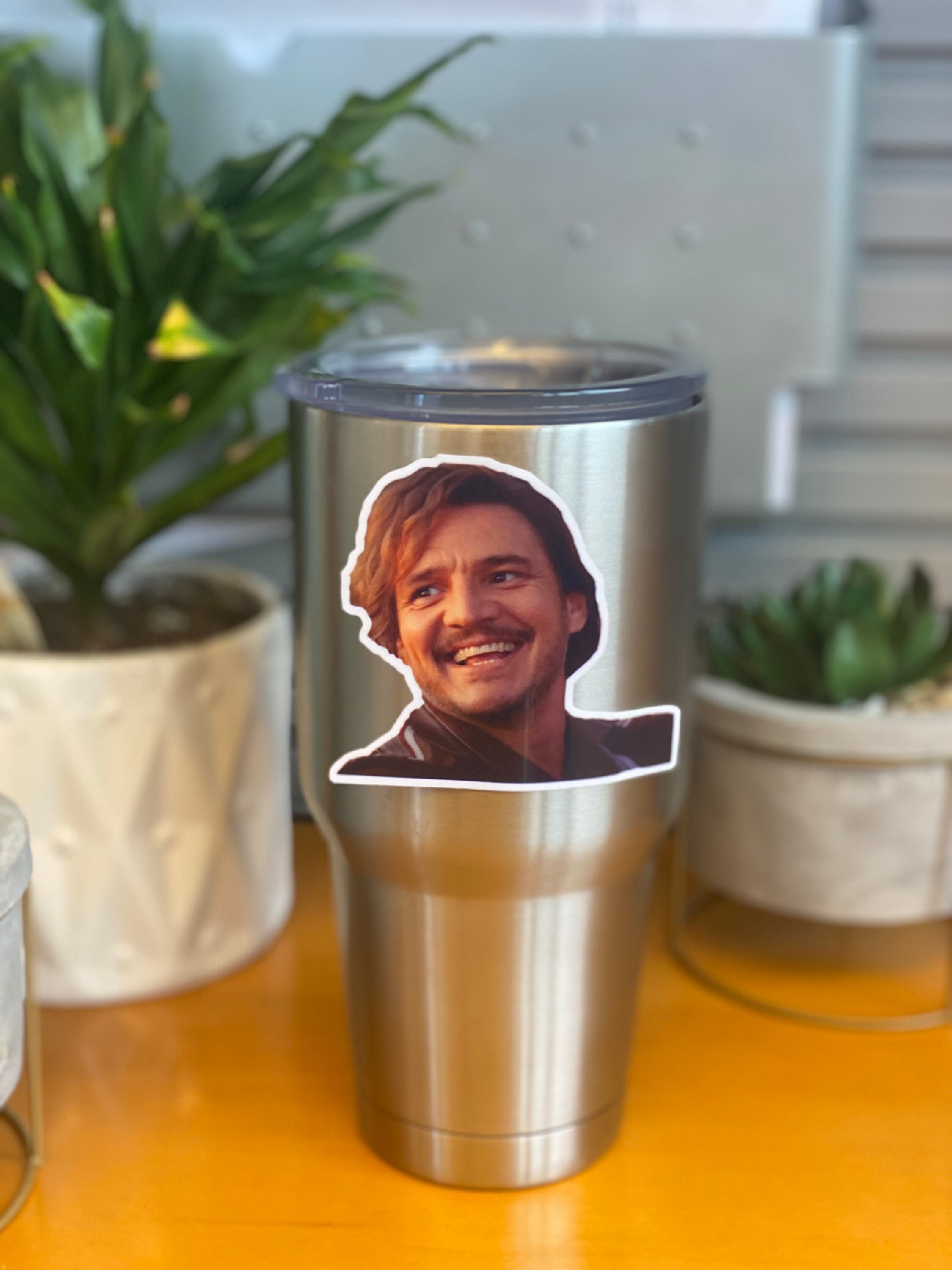 Pedro Pascal Meme Pedro Pascal Meme Stickers Gift for Pedro Pascal Fan ...