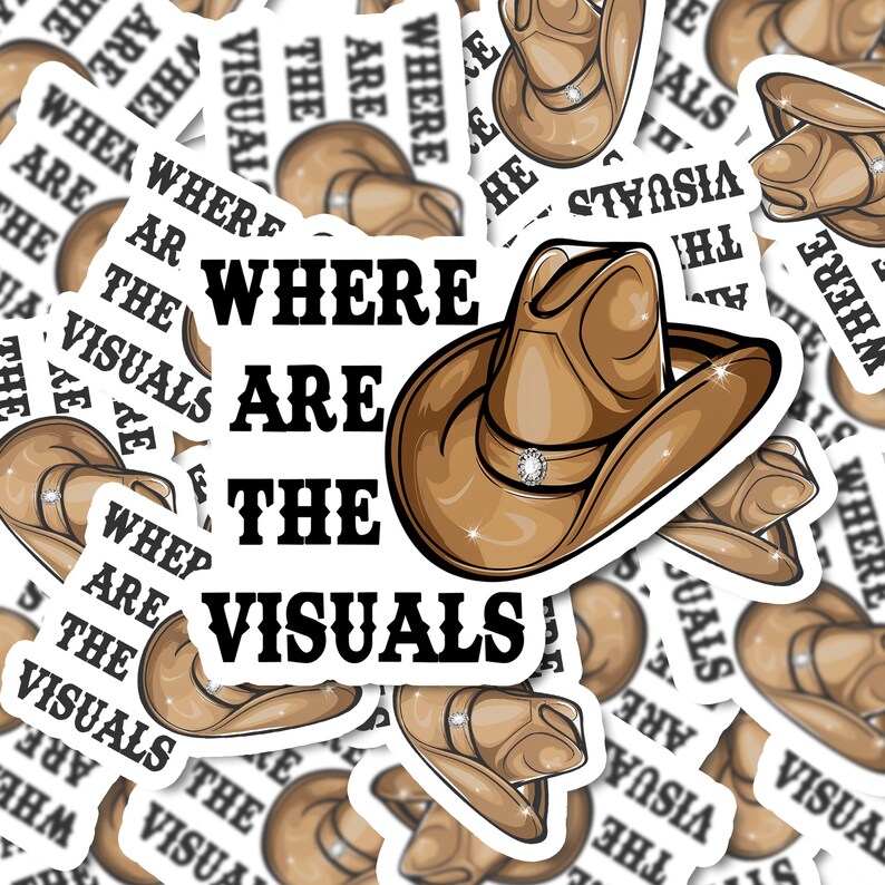 Where Are the Visuals Vinyl Sticker Funny Sticker Renaissance Cowboy ...