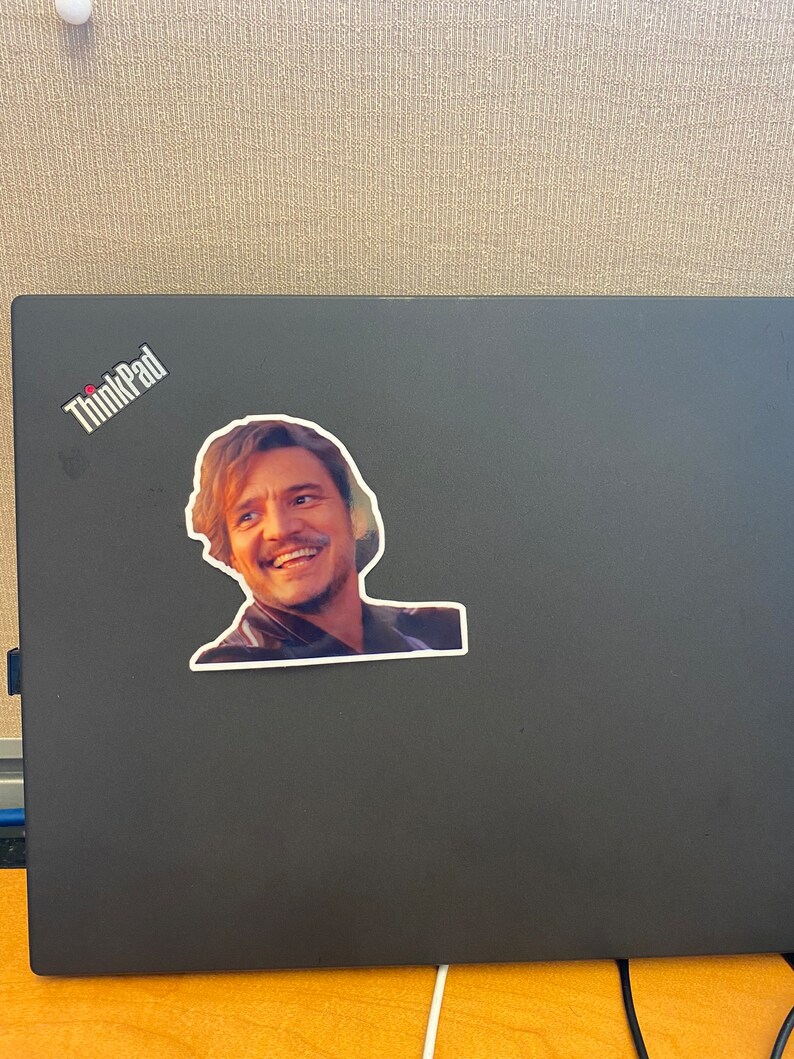 Pedro Pascal Meme Pedro Pascal Meme Stickers Gift for Pedro - Etsy