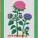 Cross Stitch Pattern Aster Birth Month Flower September Instant ...