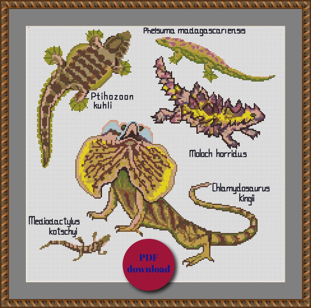 Customizable Dragon Cross Stitch Pattern - Instant Download! Learn the ...