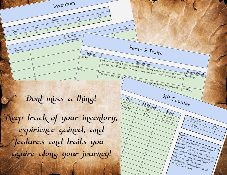 DND 5e Character Sheet Auto Input Google Sheet Inputs All Stats Magic ...