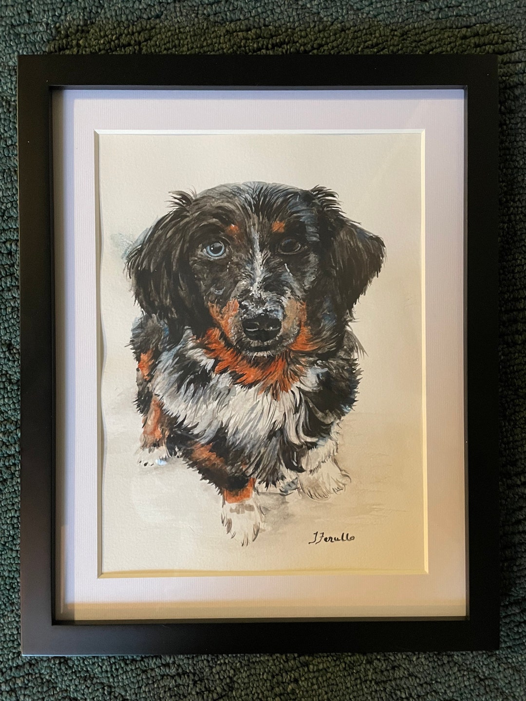 Jesse the Australian Sheppard Mix - Etsy