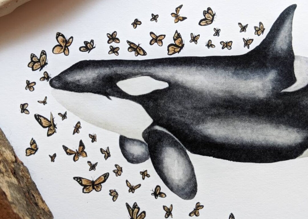 Whale Watercolor Print | Orca Painting | Monarch Butterfly Wall Art ...