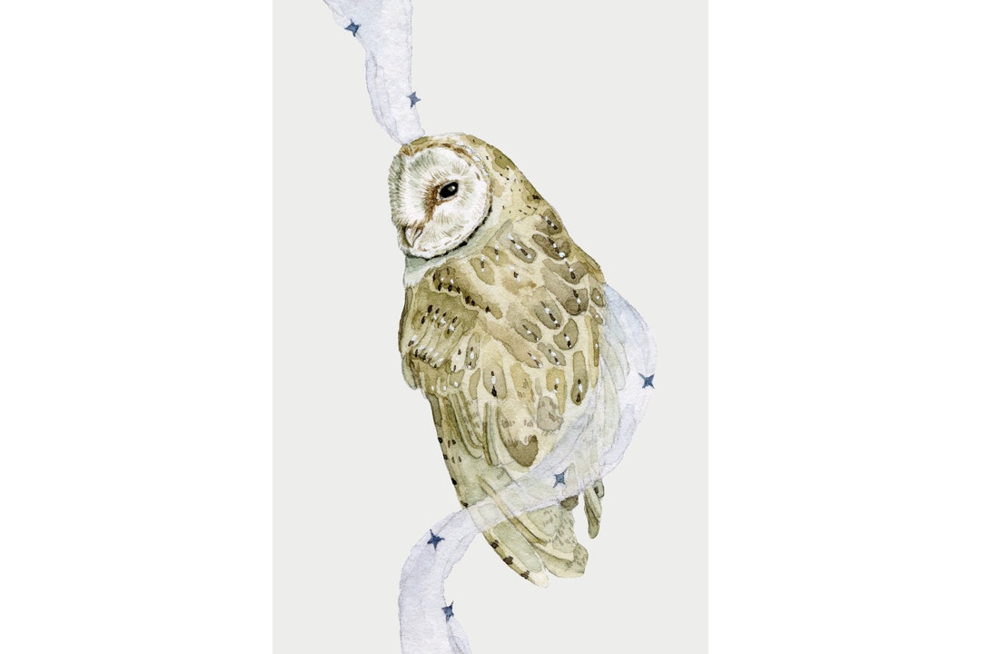 Barn Owl 4x6 and 5x7 Art Print | Magical Wizard Owl | Watercolor Art ...