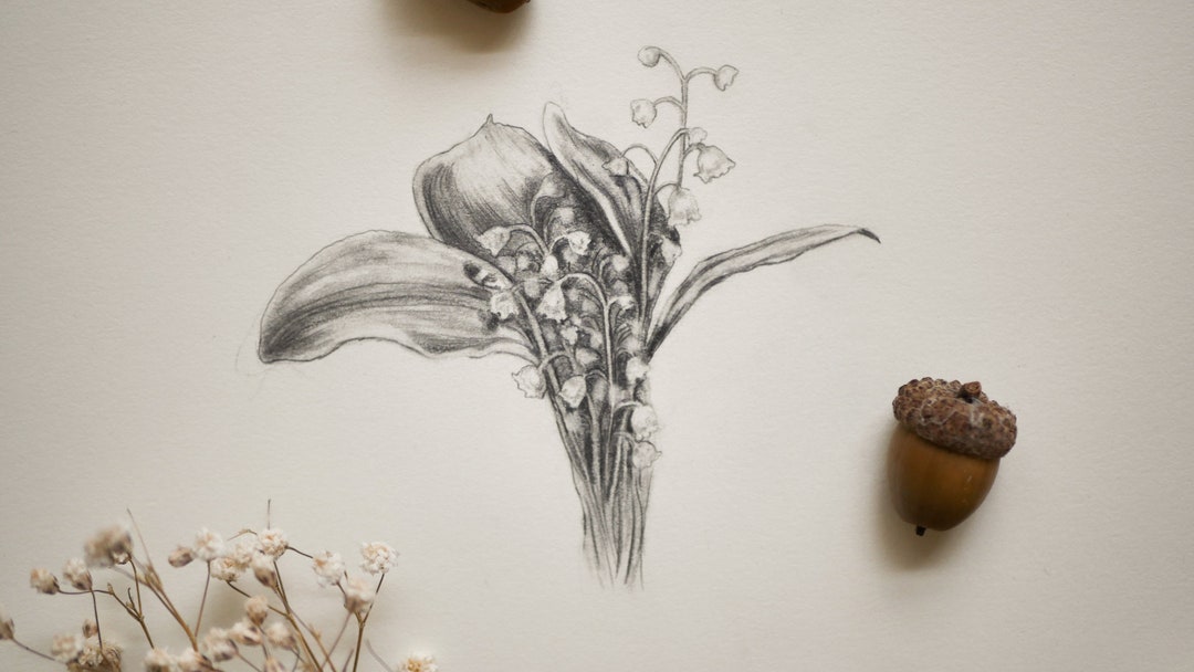 Lily of the Valley Pencil Drawing, Original Graphite Art, Botanical ...