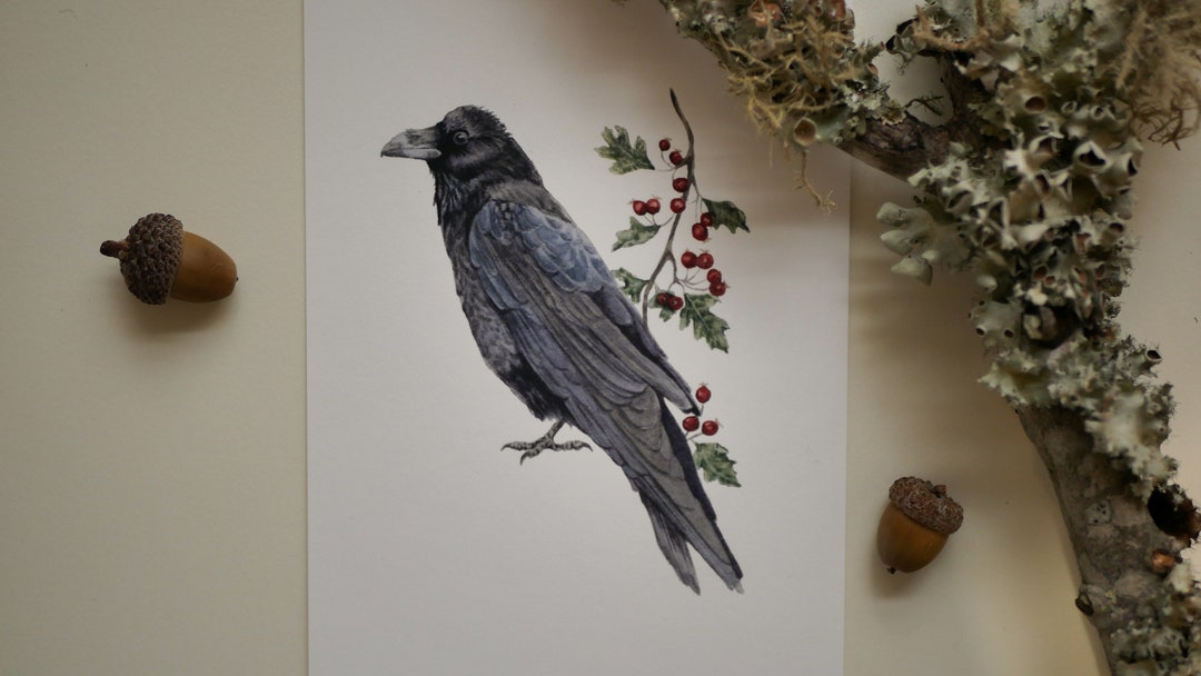 Raven and Hawthorn Art Print Bird Art Prints - Etsy