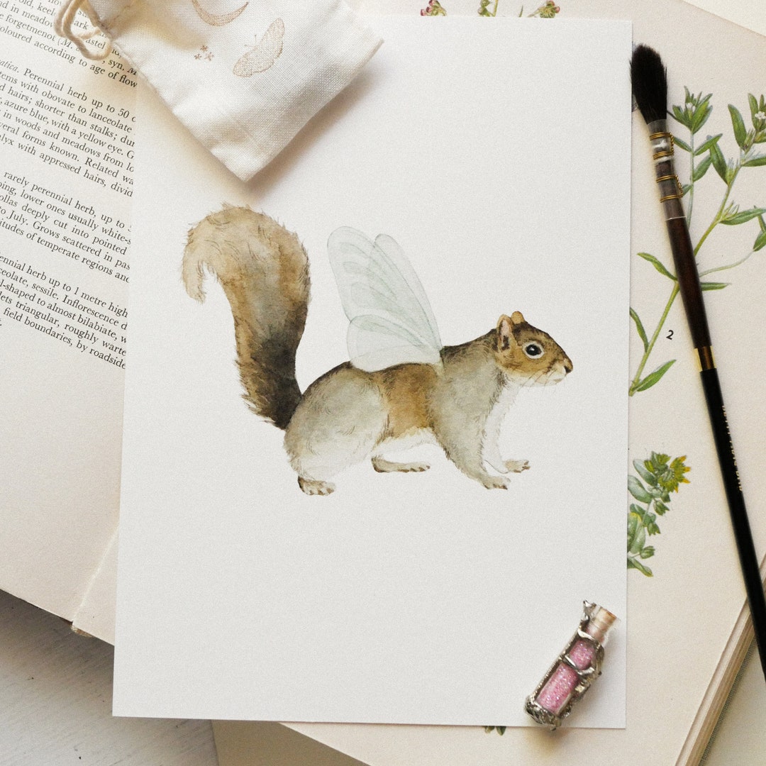 Fairy Squirrel Art Print, Gray Squirrel Watercolor Painting - Etsy