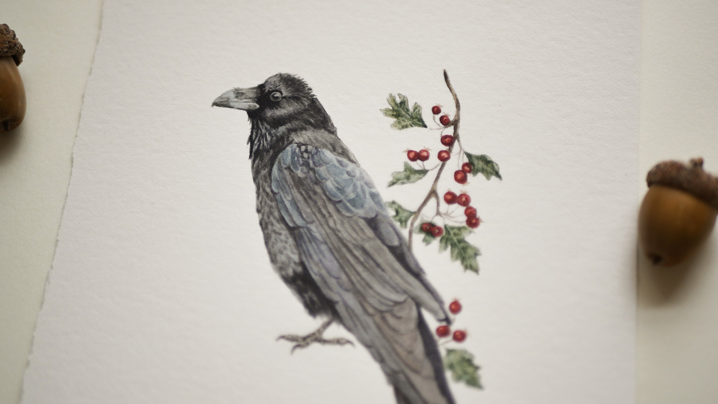 Original Raven and Hawthorn Painting - Etsy