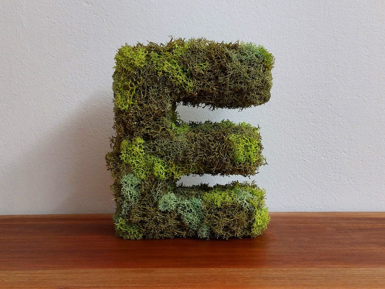 3D Moss Letter • 20 Cm • Alphabet Number Lettering Iceland Moss - Etsy