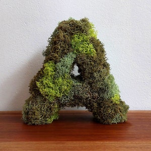 3D Moss Letter • 20 Cm • Alphabet Number Lettering Iceland Moss - Etsy