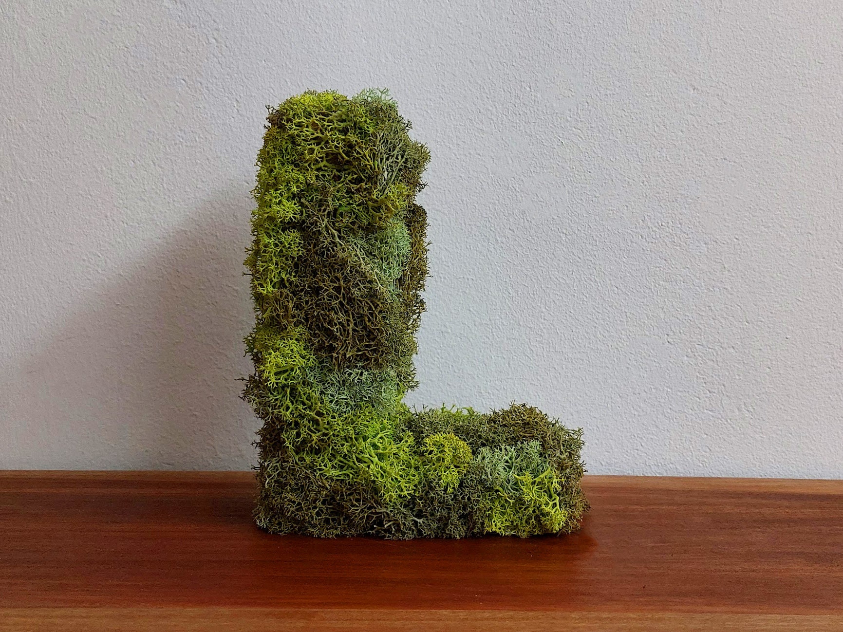 3D Moss Letter • 20 Cm • Alphabet Number Lettering Iceland Moss - Etsy