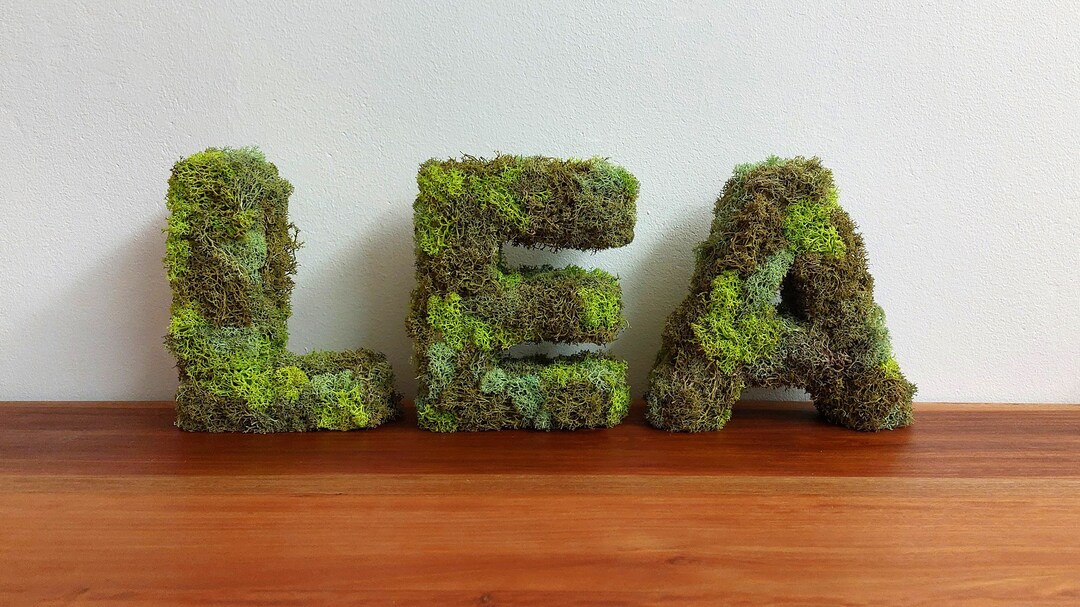 3D Moss Letter • 20 Cm • Alphabet Number Lettering Iceland Moss - Etsy