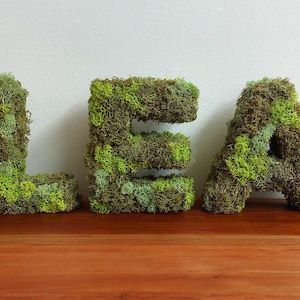3D Moss Letter • 20 Cm • Alphabet Number Lettering Iceland Moss - Etsy