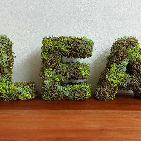 Moss Letter - Etsy