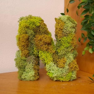 3D Moss Letter • 20 Cm • Alphabet Number Lettering Iceland Moss - Etsy