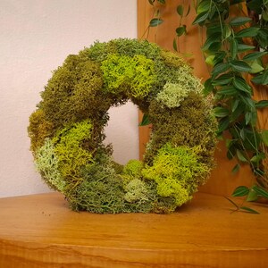 3D Moss Letter • 20 Cm • Alphabet Number Lettering Iceland Moss - Etsy