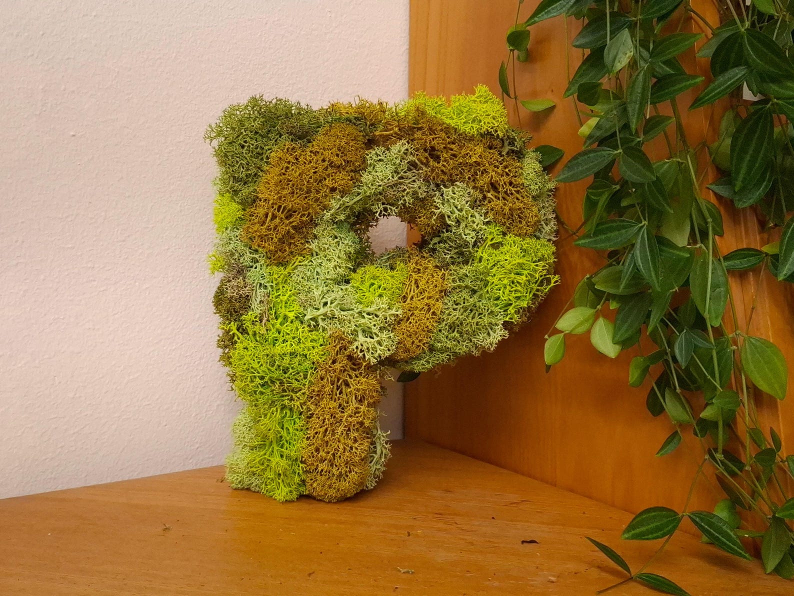 3D Moss Letter • 20 Cm • Alphabet Number Lettering Iceland Moss - Etsy