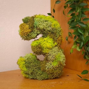 3D Moss Letter • 20 Cm • Alphabet Number Lettering Iceland Moss - Etsy