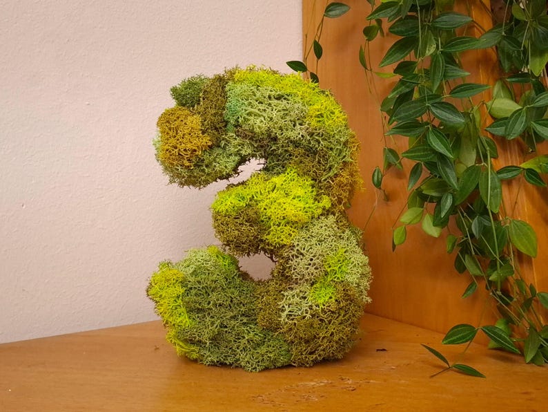 3D Moss Letter • 20 Cm • Alphabet Number Lettering Iceland Moss - Etsy