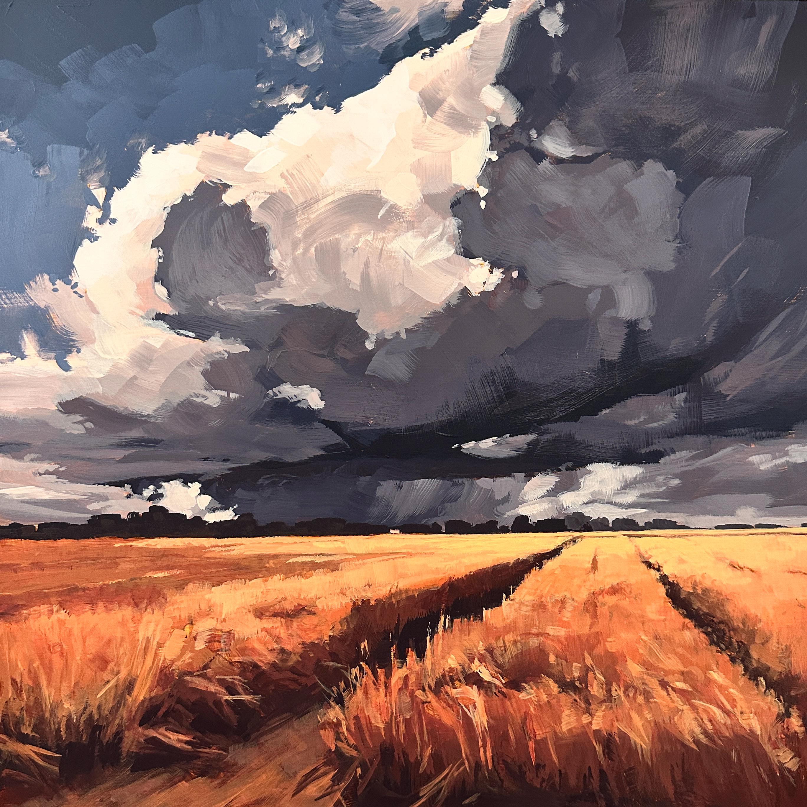 Summer Storm | Square Landscape Mounted Print, Storm Clouds Midwest ...