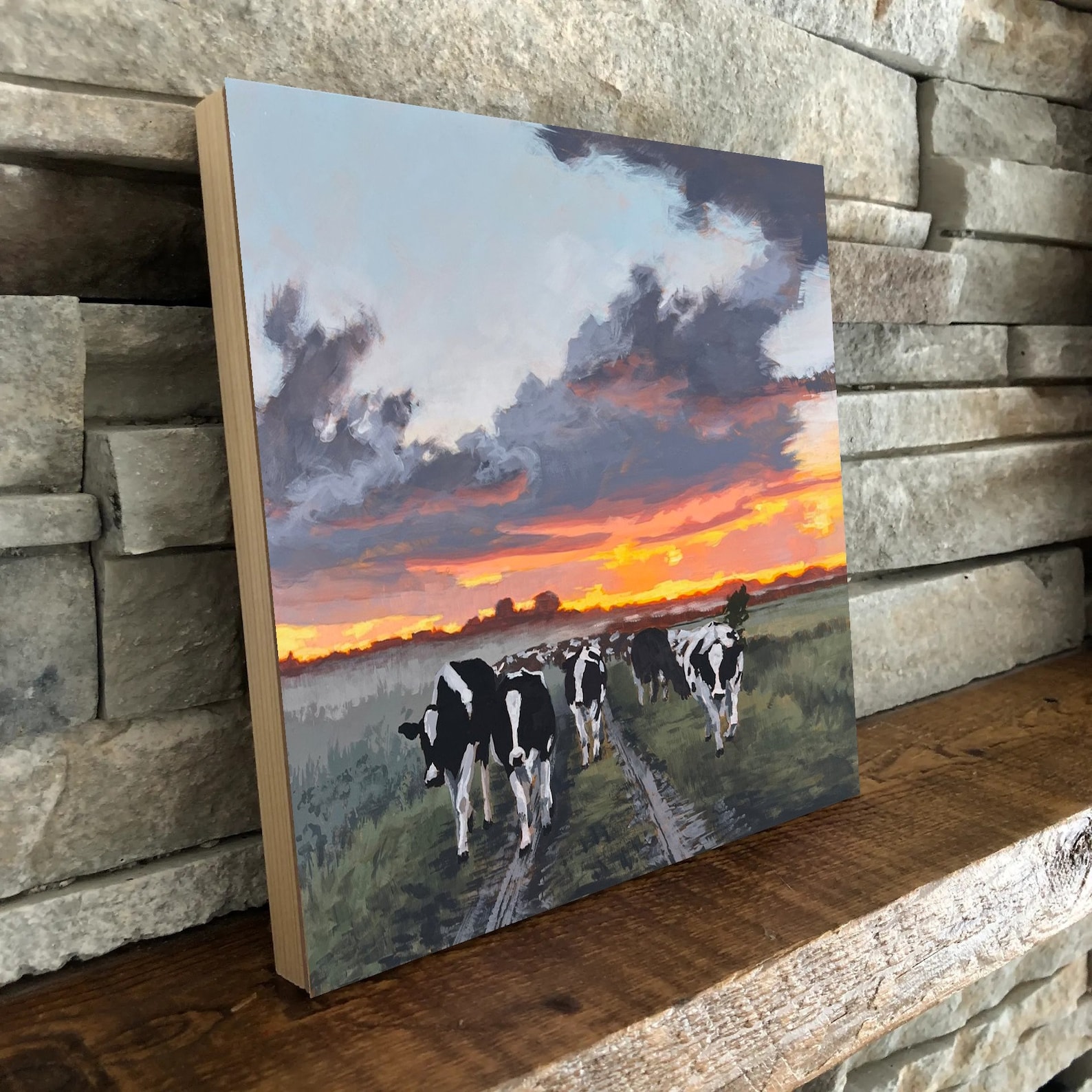 Dairy Cows | Square Landscape Mounted Print, Sunset Cows Colorful ...