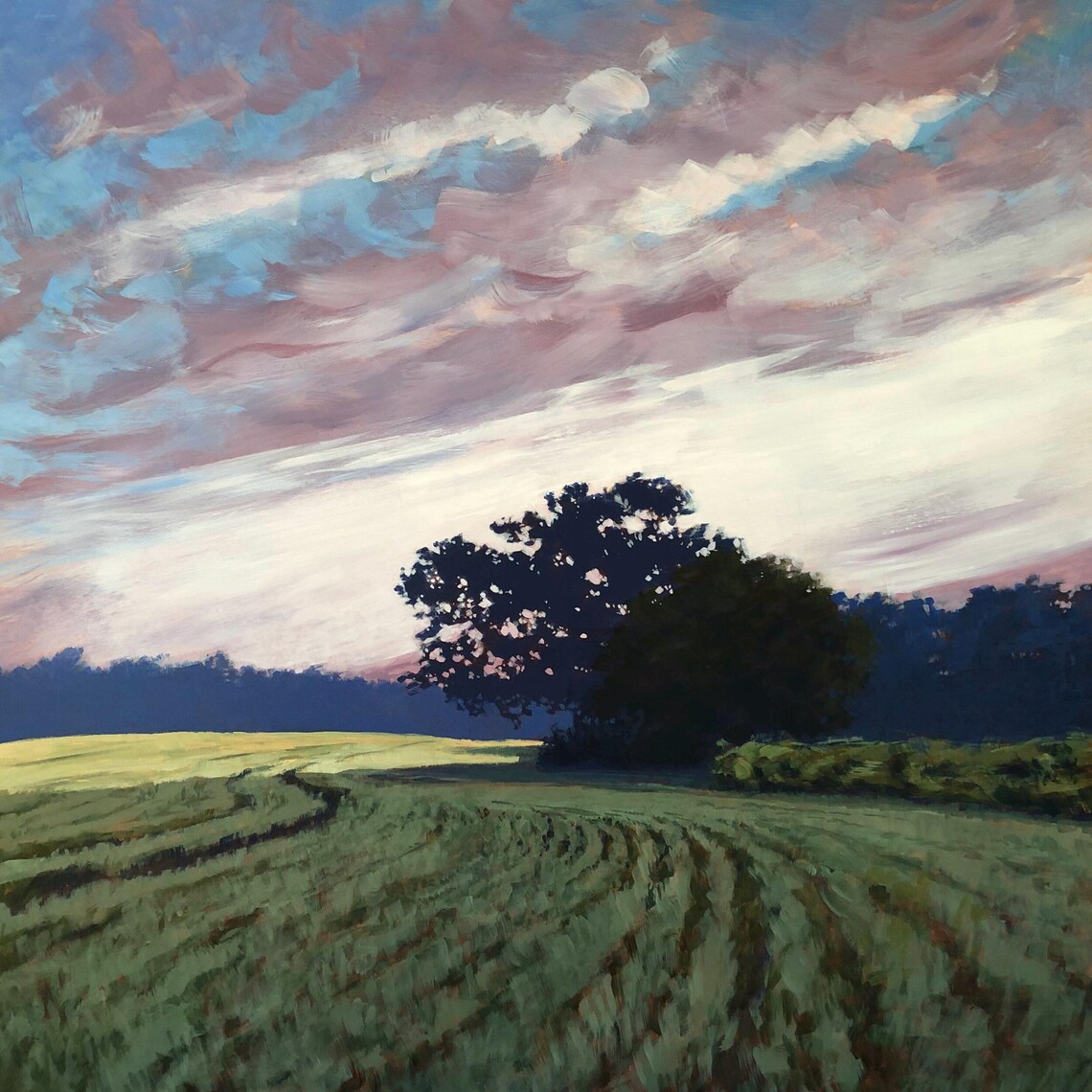 Spring Wheat Field | Square Landscape Mounted Print, Midwest Prairie ...