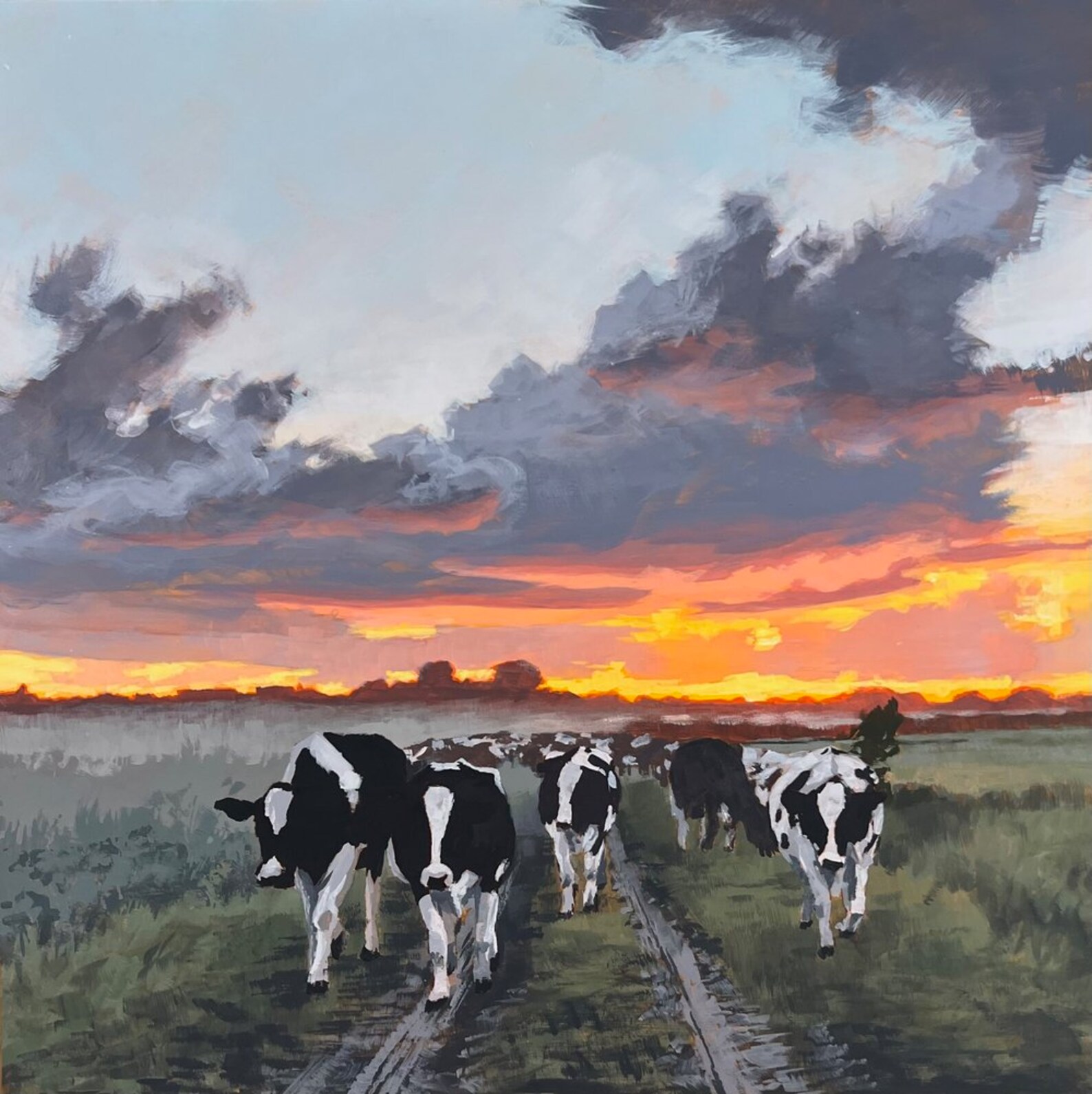 Dairy Cows | Square Landscape Mounted Print, Sunset Cows Colorful ...