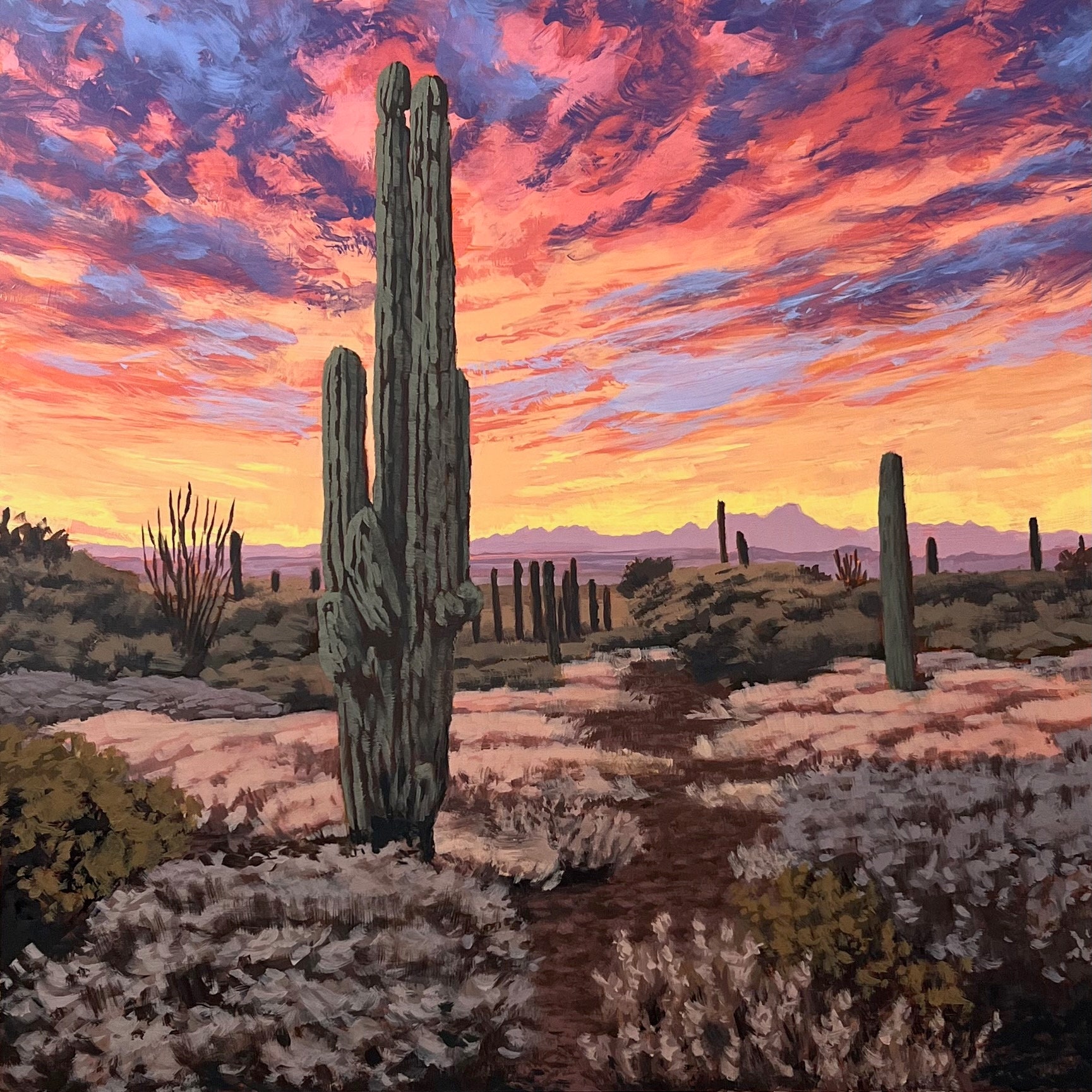 Sonoran Desert Square Landscape Mounted Print, Desert Sky Colorful ...