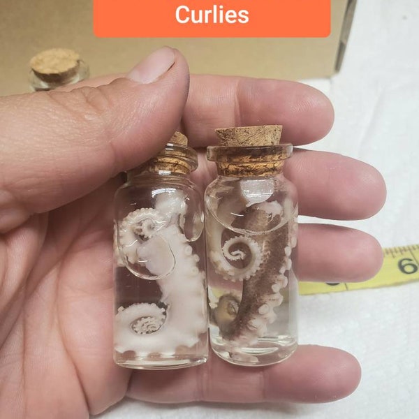 Wet Specimens - Etsy