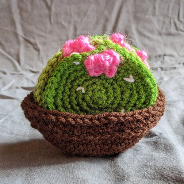 Cactus Coasters - Etsy