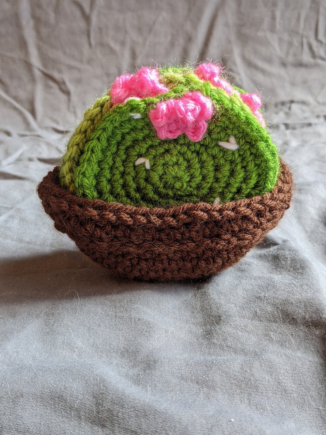 Cactus Coaster Set With Pot - Etsy