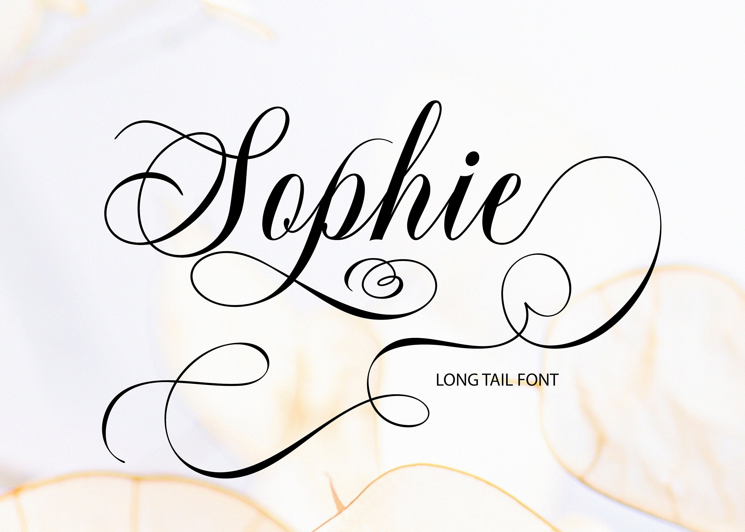 Sophie In Fancy Letters