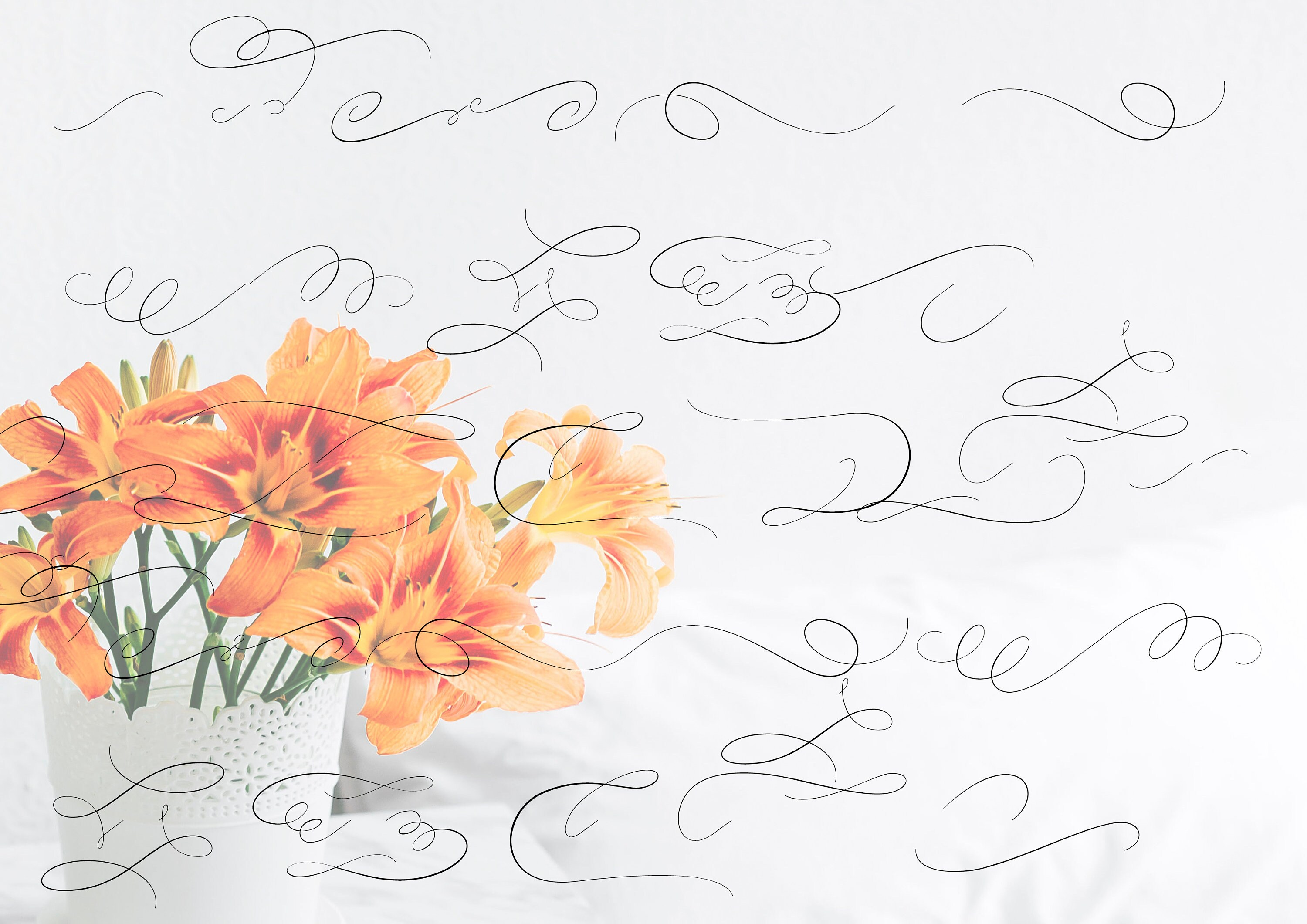 Digital Fonts Calligraphy Font Font Download Cursive Font - Etsy