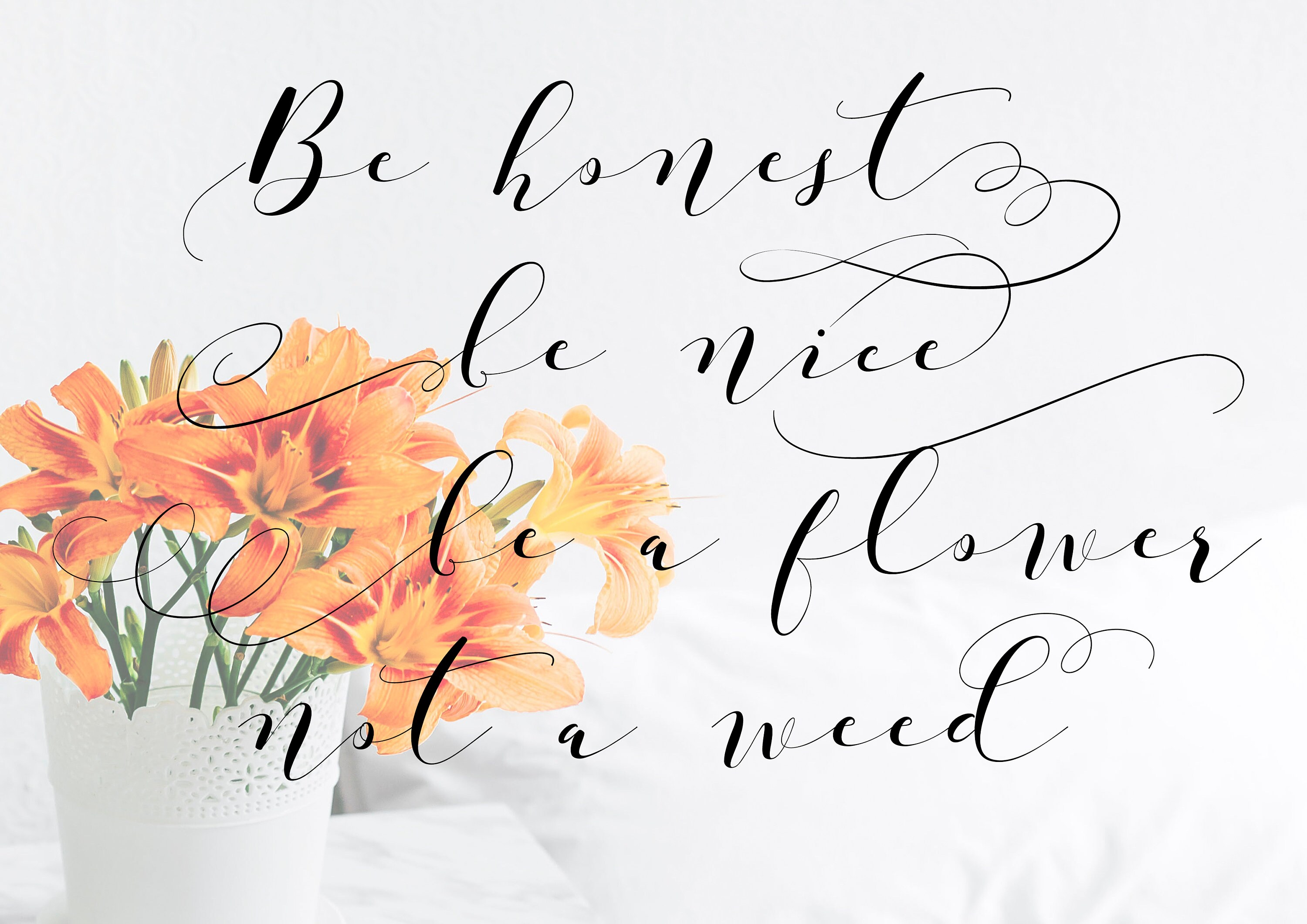 Digital Fonts Calligraphy Font Font Download Cursive Font - Etsy