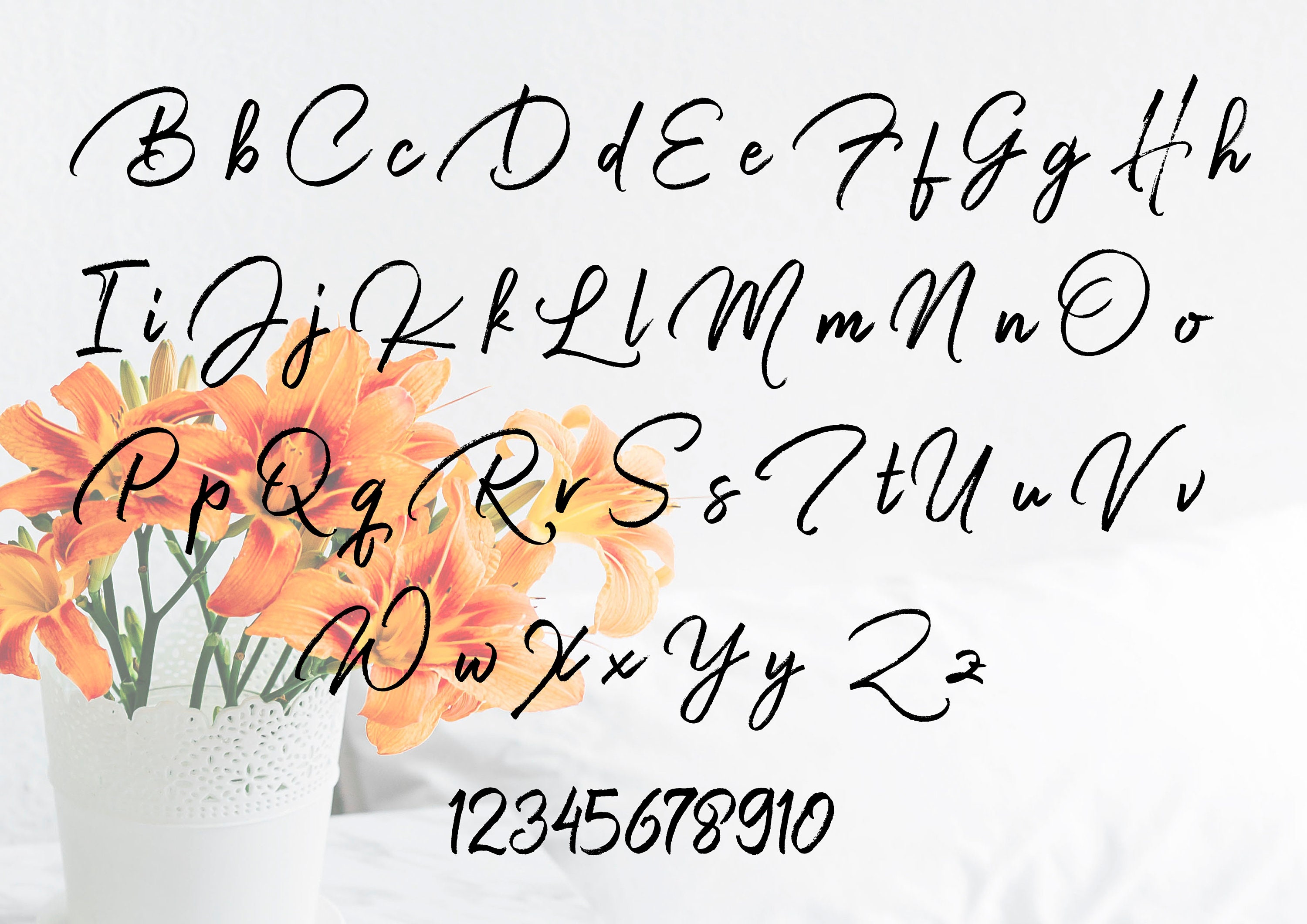 Digital Fonts Cursive Font Script Font Download Calligraphy Etsy digital-fonts-cursive-font-script-font-download-calligraphy-etsy