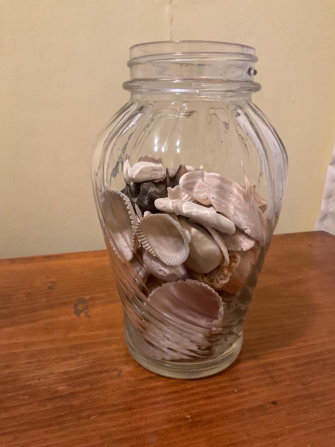 Atlas Swirl Mason Jar With Sea Shells - Etsy