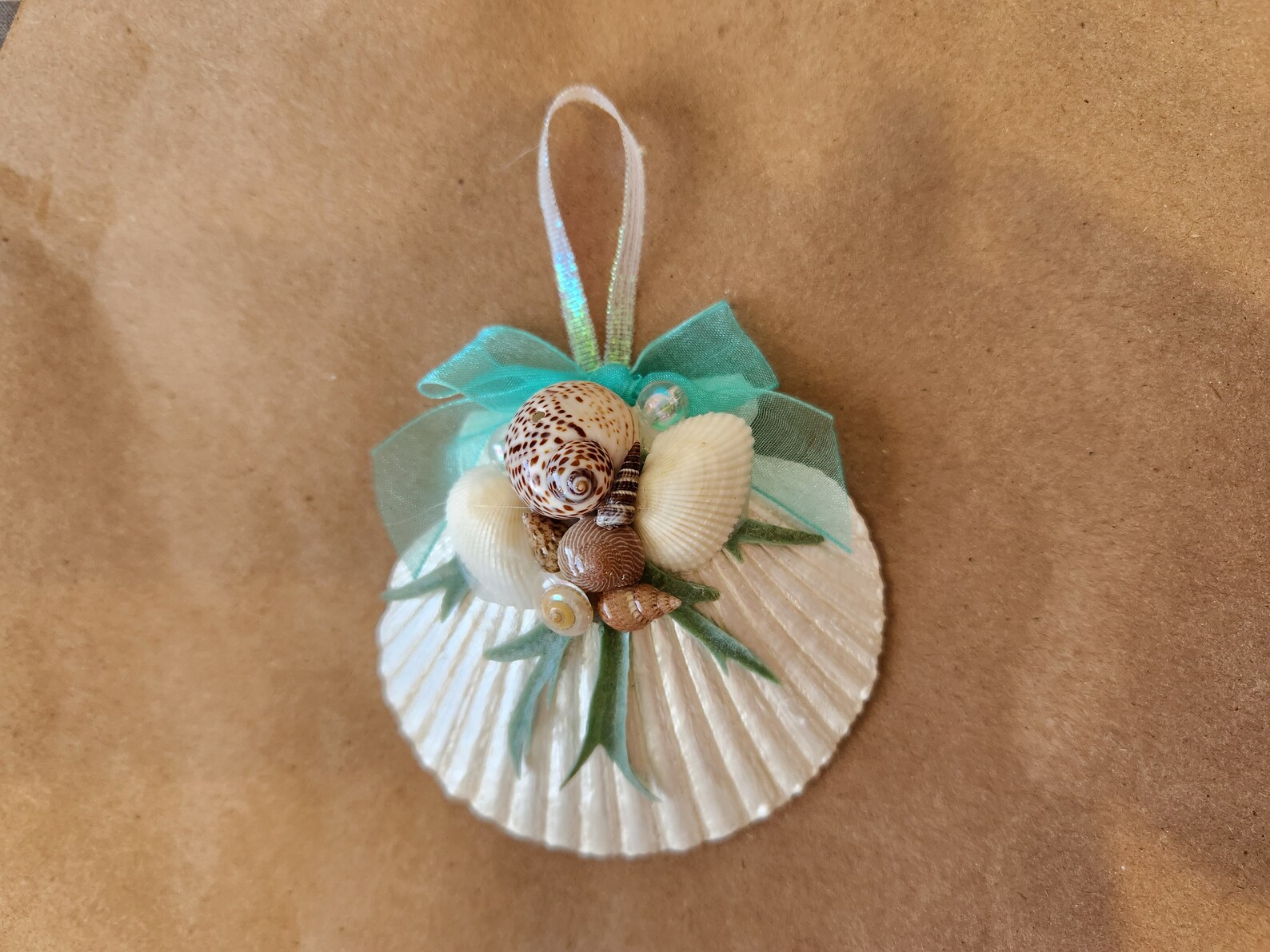 Scallop Shell Ornament - Iridescent Dream - Etsy