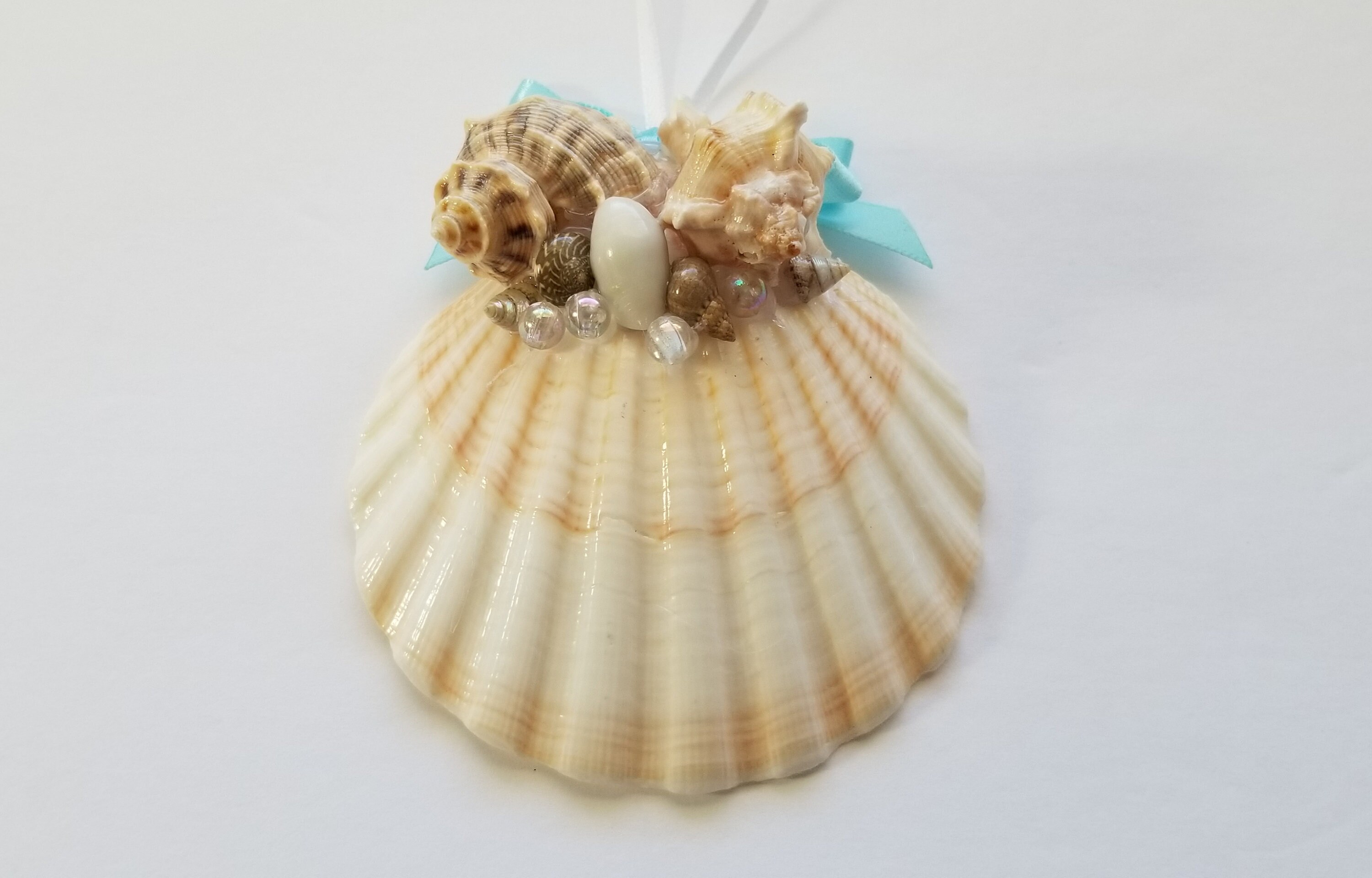 Surfside Scallop Shell Ornament - Etsy