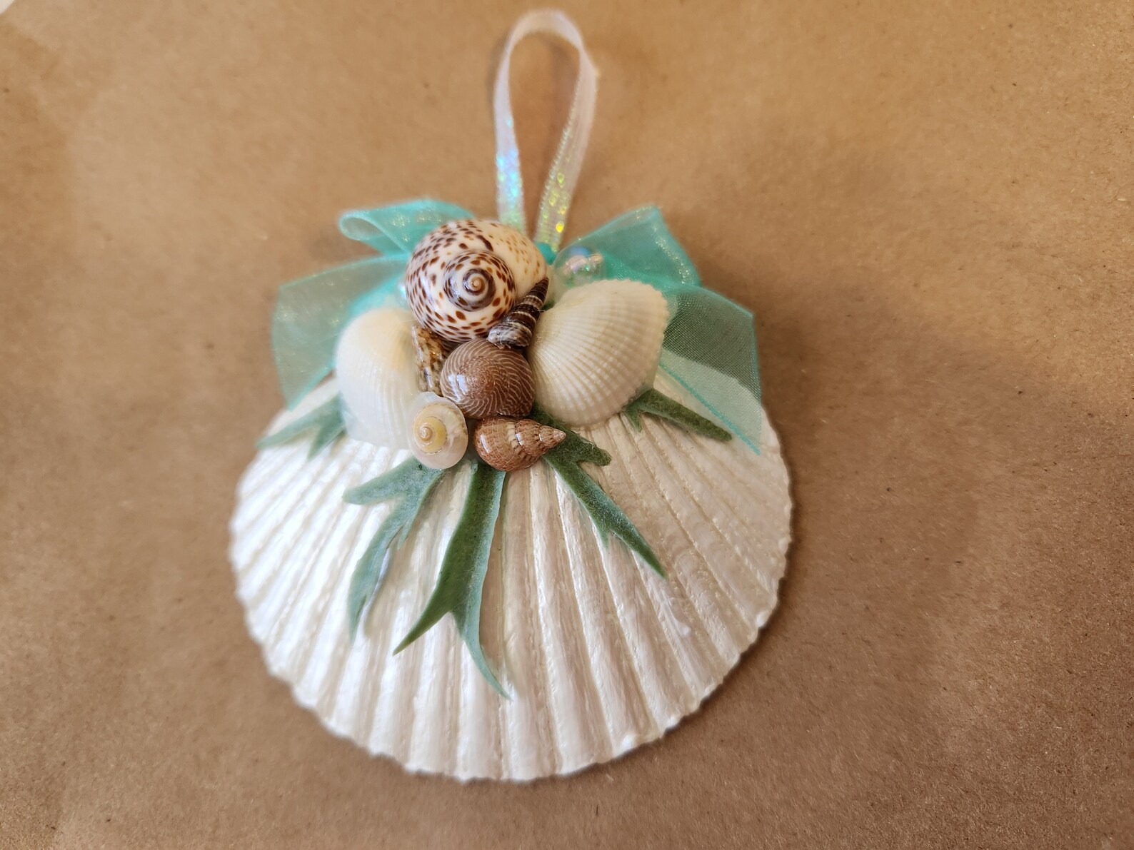Scallop Shell Ornament - Iridescent Dream - Etsy