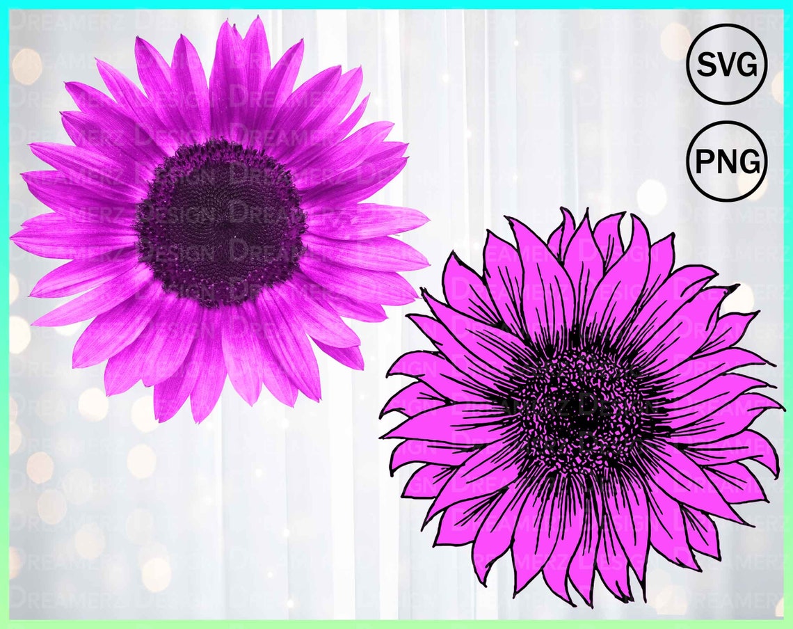 Pink Sunflower SVG PNG: Floral Sublimation Designs (digital Download ...