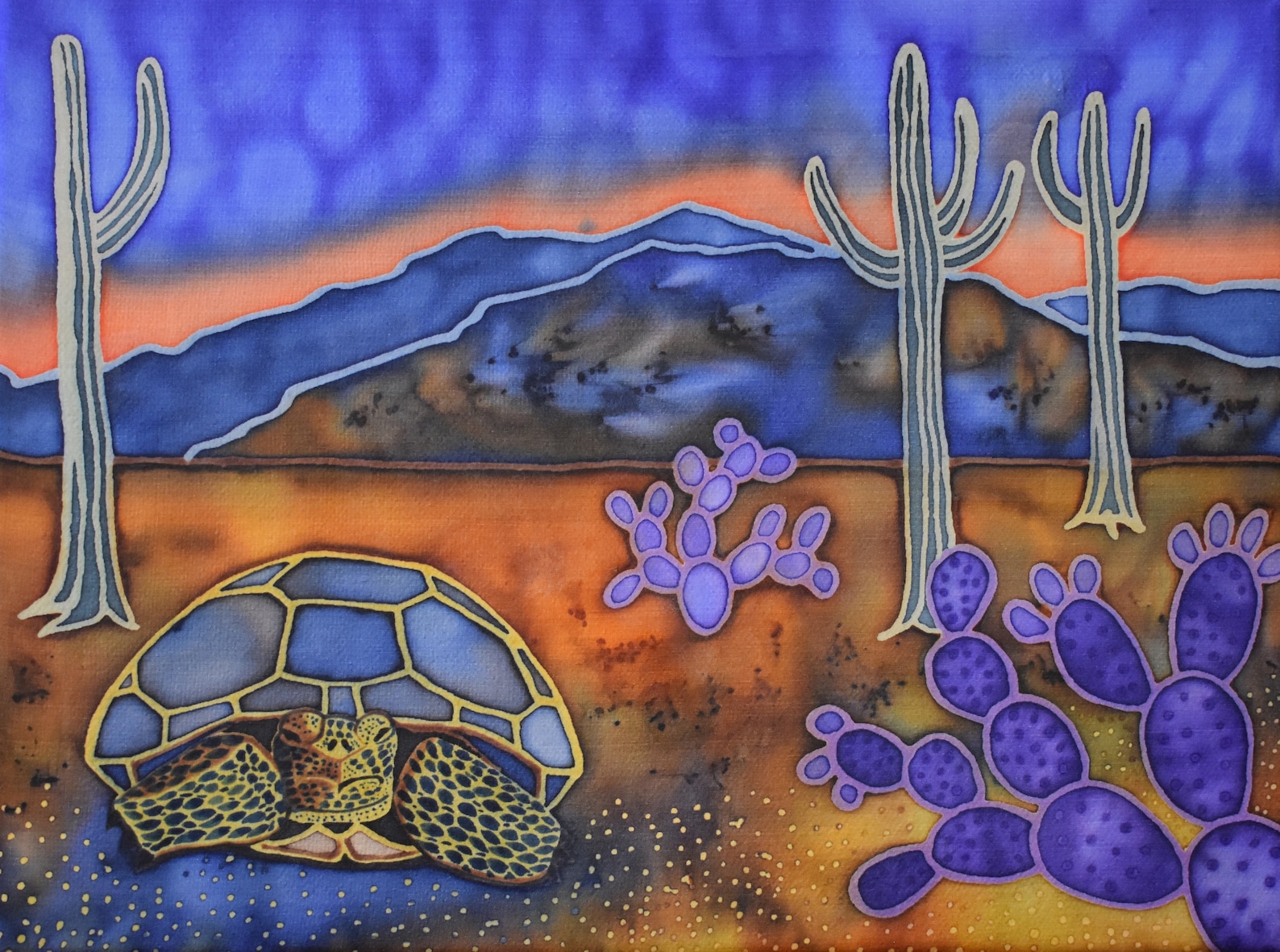 Sonoran Desert Tortoise 8x10 Print - Etsy