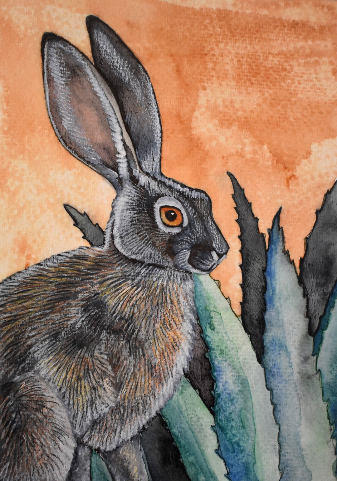 Jackrabbit and Agave Original Watercolor and Ink - Etsy