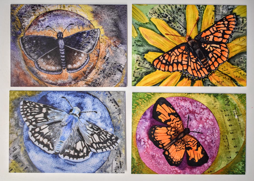 Butterfly Notecards- Set of 4 - Etsy