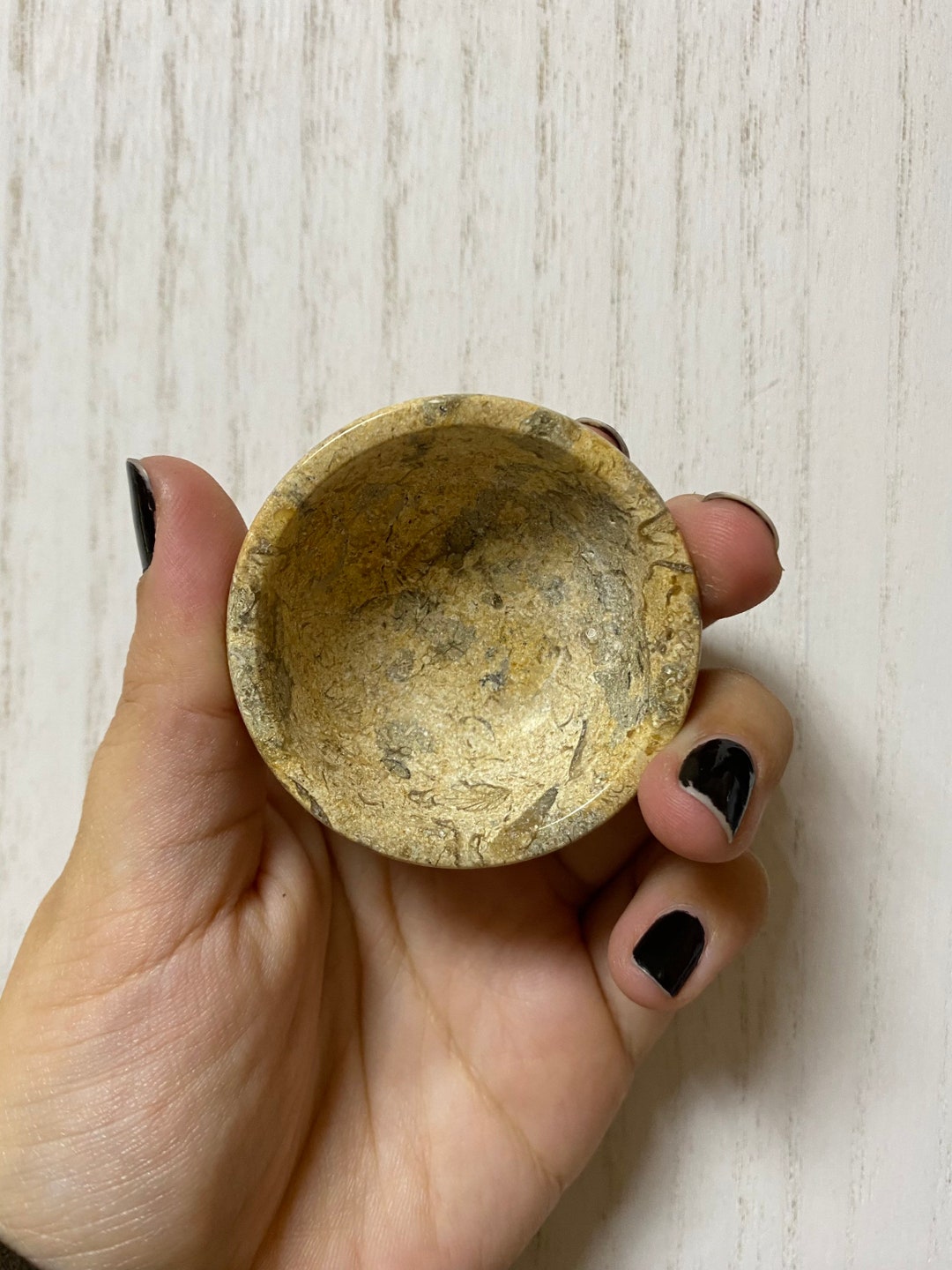 2” Fossil Coral Bowl, Stone Carved Trinket Dish - Etsy