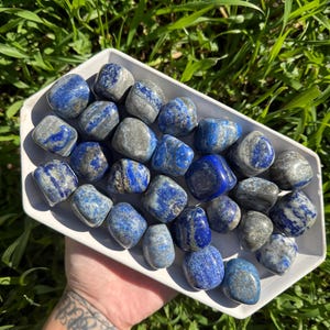 ONE Large Lapis Lazuli Tumble, Tumbled Stones - Etsy