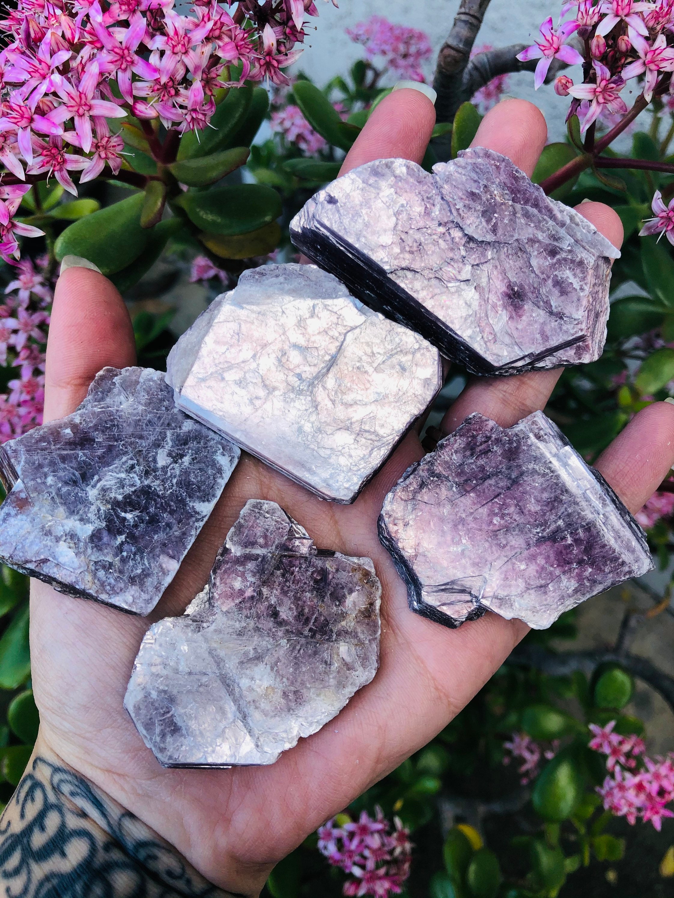 Large Lepidolite Mica Slices Layered Flat Raw Lepidolite | Etsy