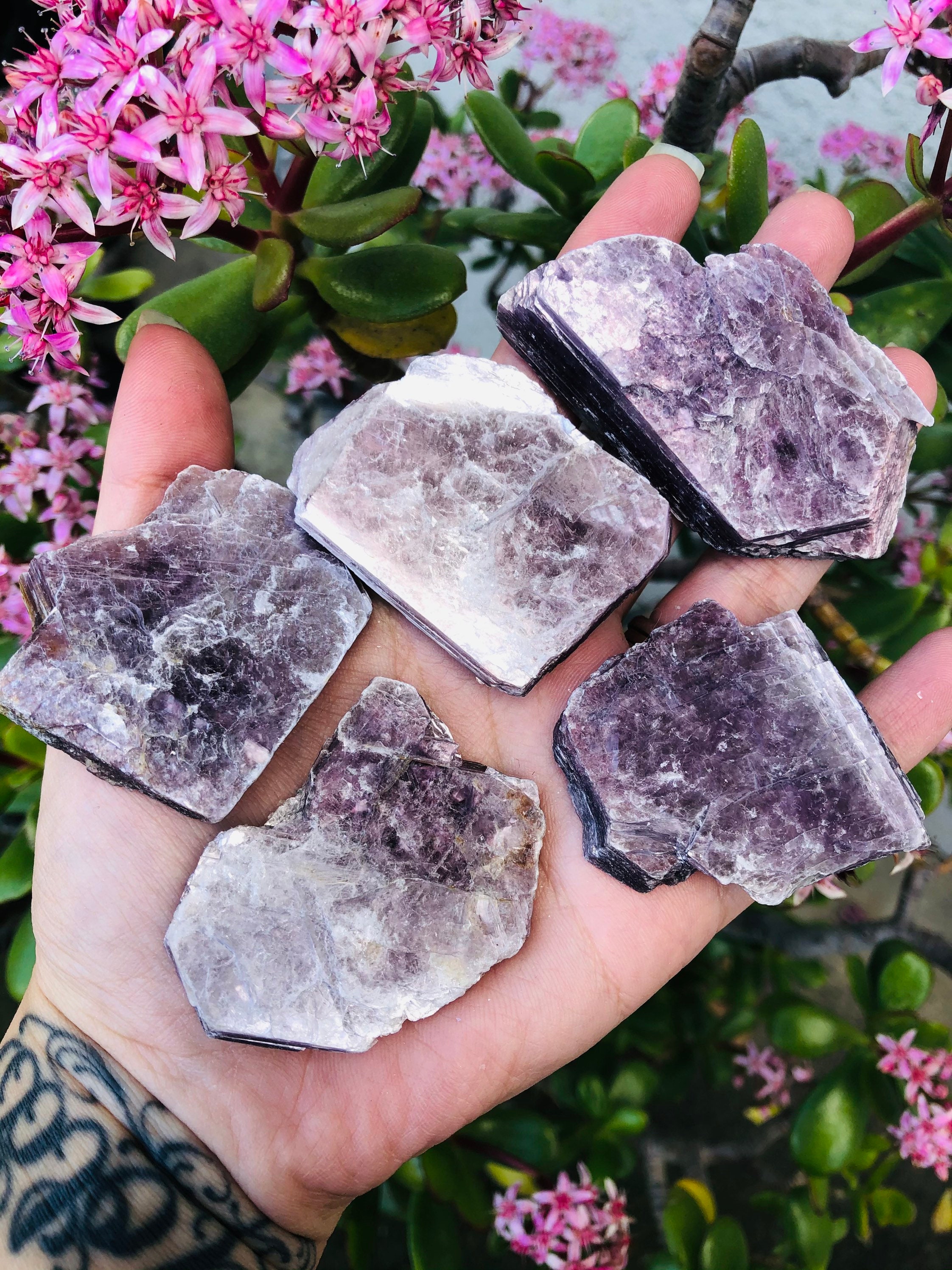 Large Lepidolite Mica Slices, Layered Flat Raw Lepidolite Chunks - Etsy