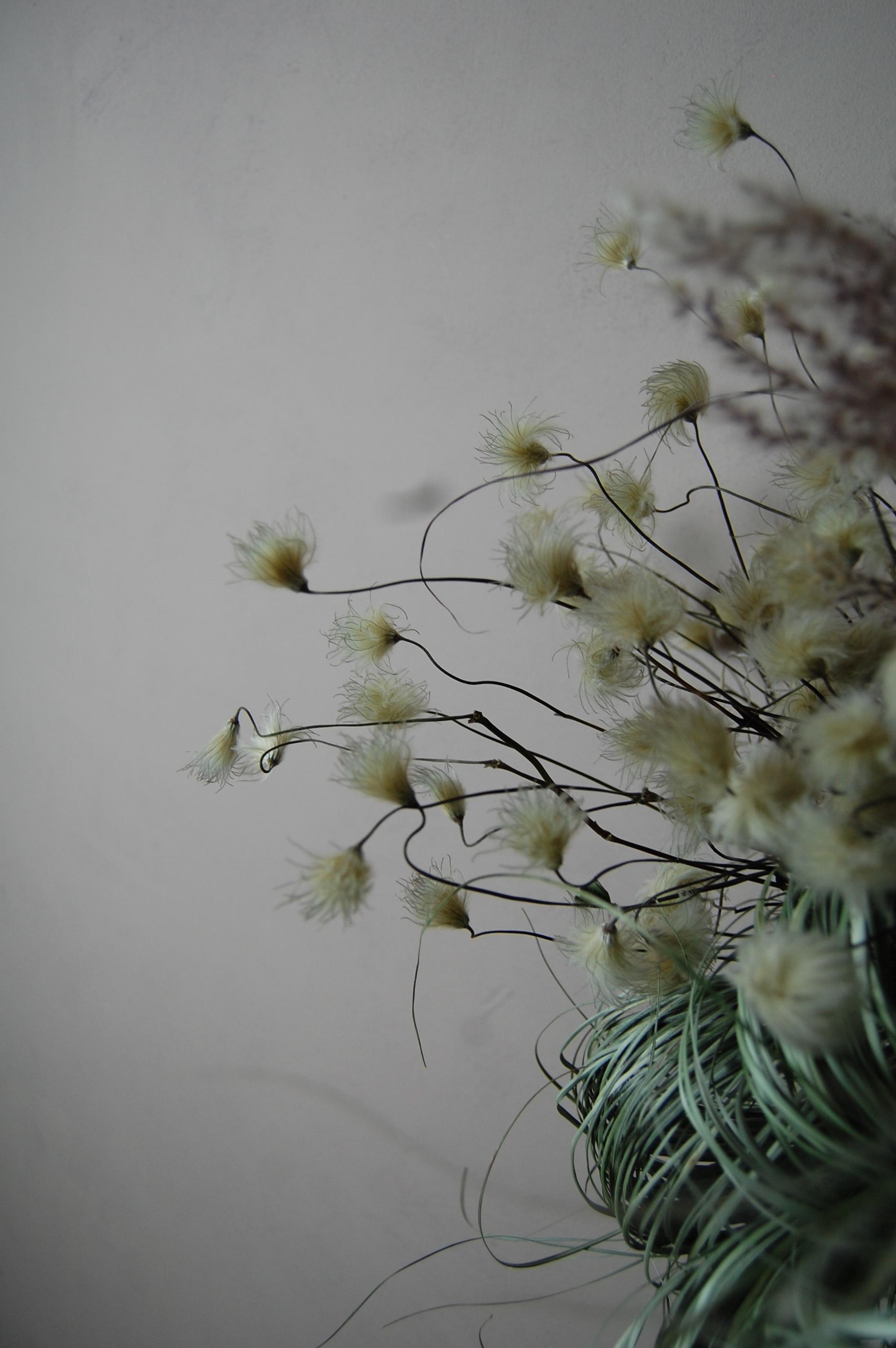 Dried Flower Cloud Installation: Pink Miscanthus & Bear Grass Wall ...