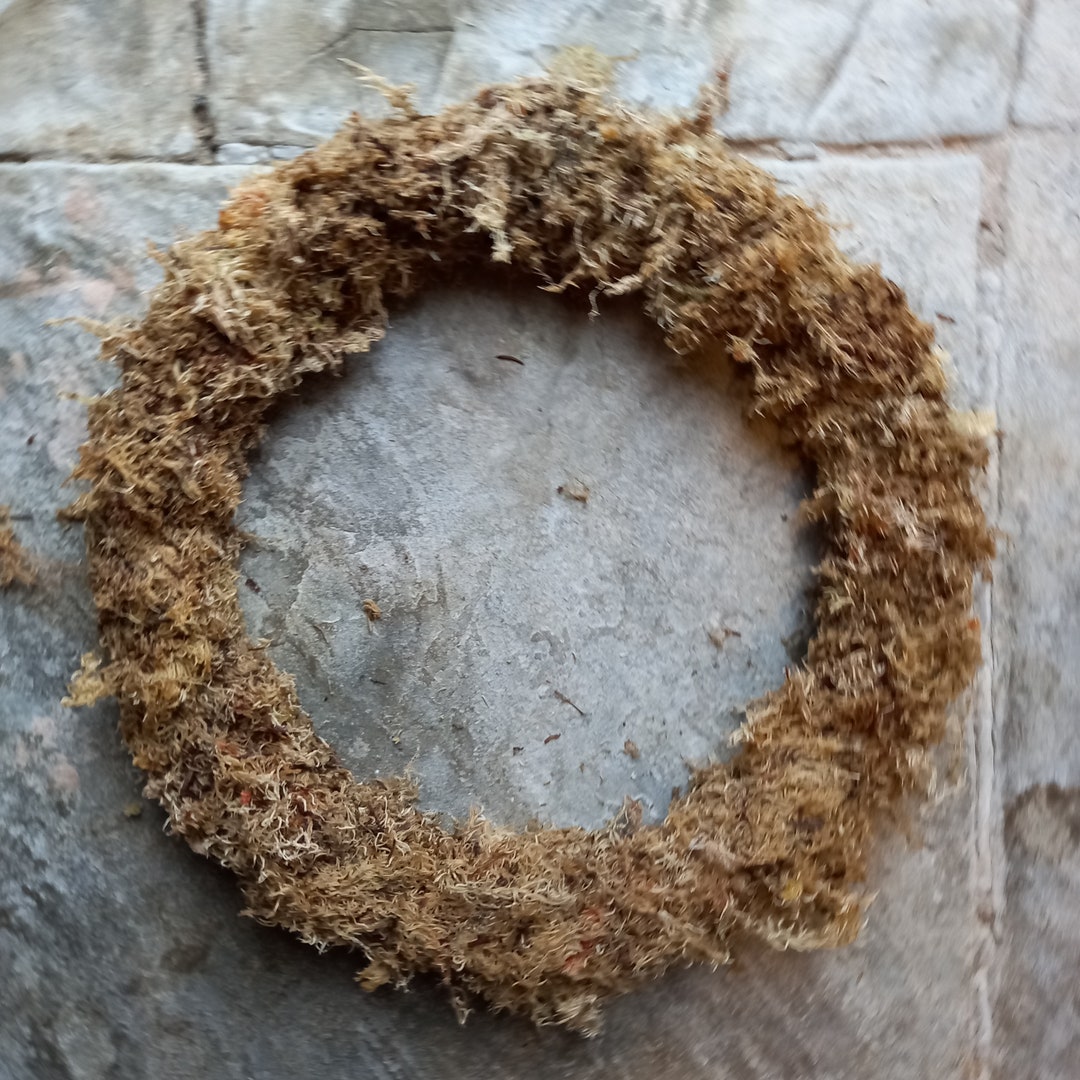 Moss Wreath Base: DIY Christmas Decor, Seasonal Wreath Ring - Etsy UK